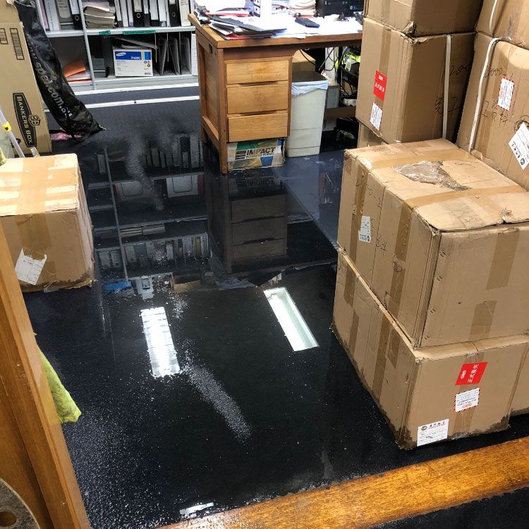 Clean Up Company, 24/7 Emergency Services TAS - Master Disaster