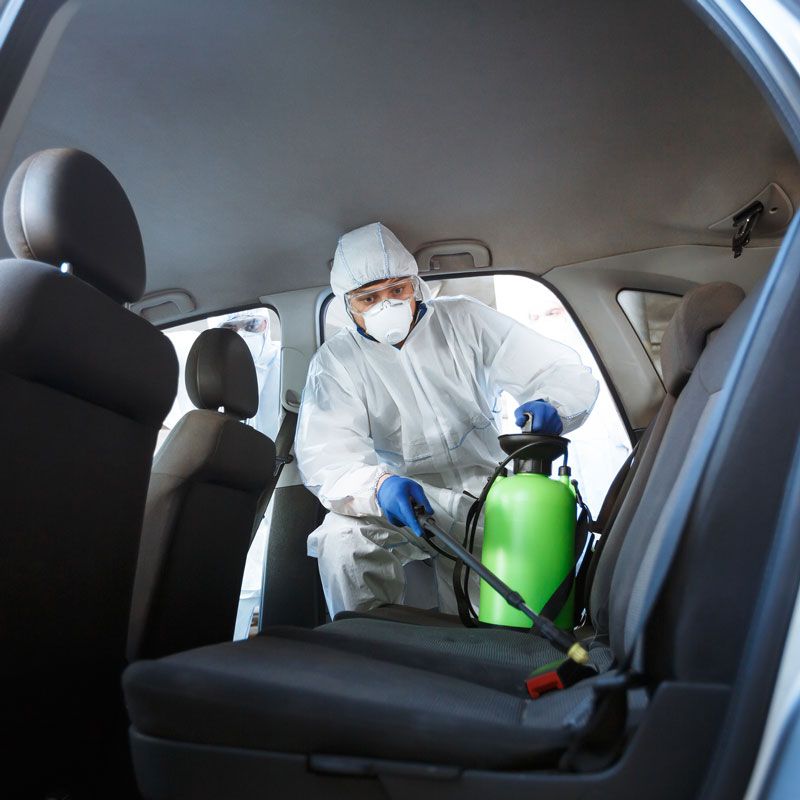 Vehicle Blood Clean Up Tasmania - Disaster Master Restoration